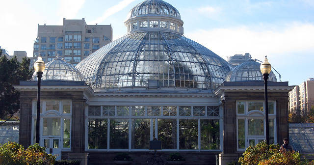 Allan Gardens (Toronto, Ontario, Canada)