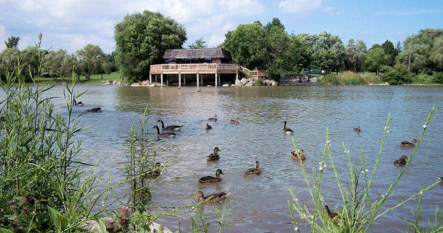 Toogood Pond Park (City of Markham, Unionville, Ontario, Canada)